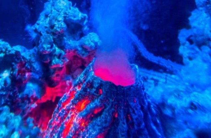 19 Ribu Gunung Api Bawah Laut Baru Ditemukan - Inventif